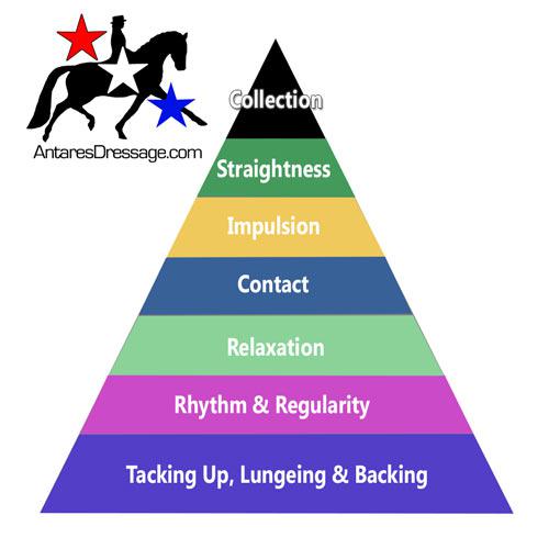 FEI Dressage Training in North Carolina - Antares Dressage